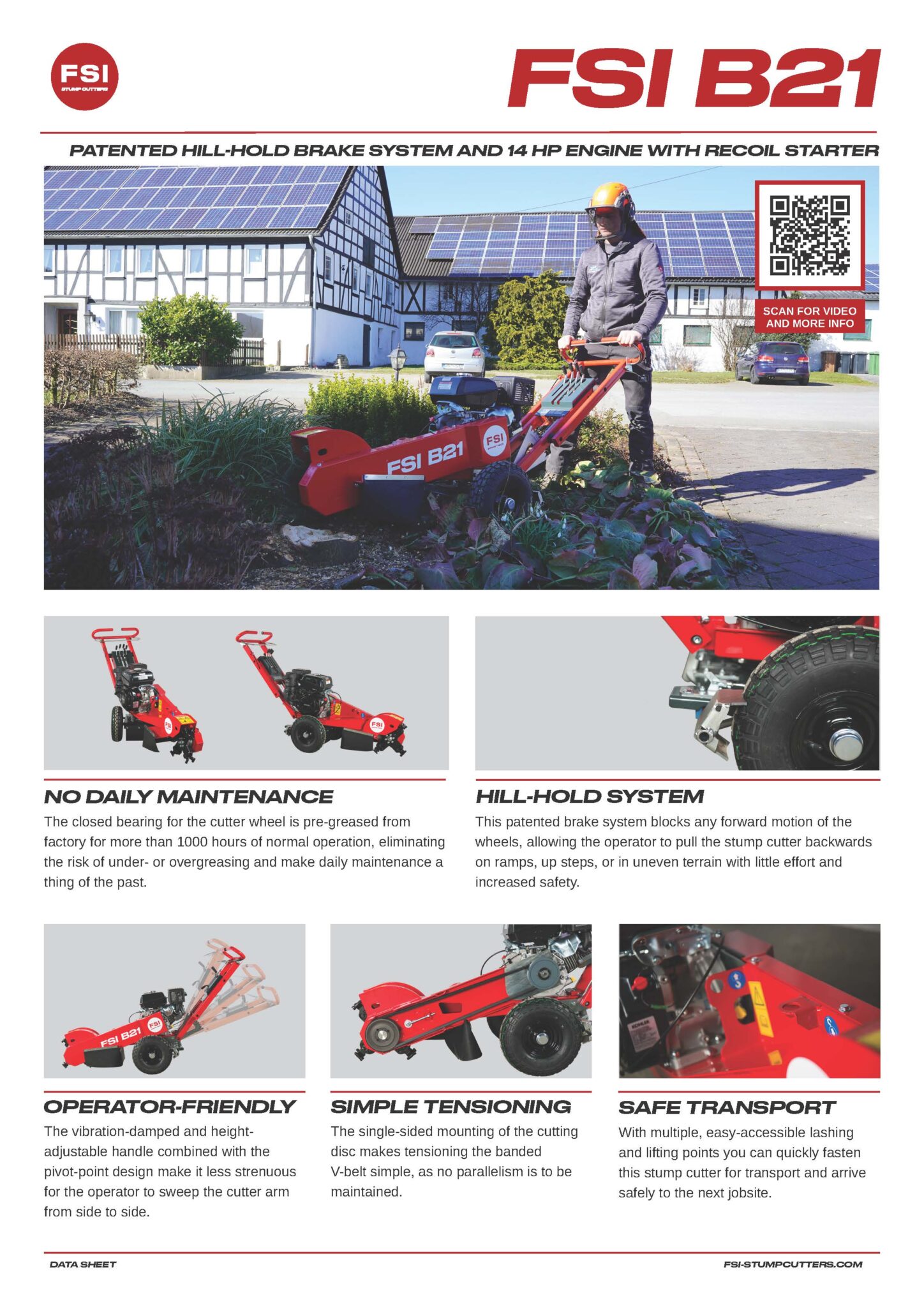 FSI B21 Datasheet - FSI